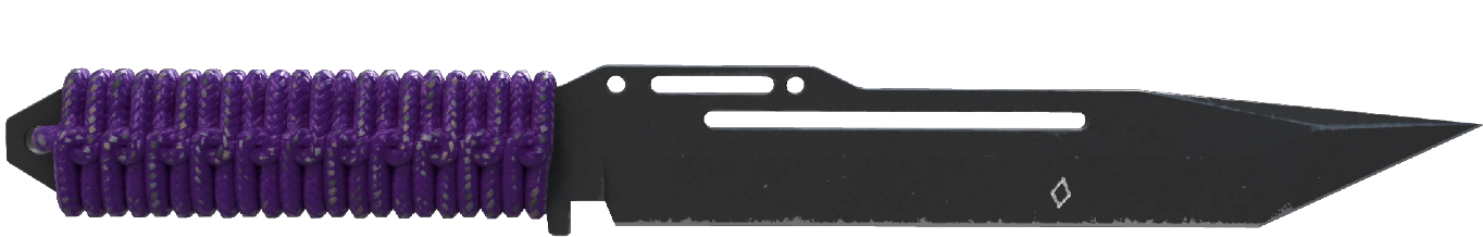 StatTrak™ Paracord Knife | Ultraviolet (Field-Tested) — Negocie skins ...