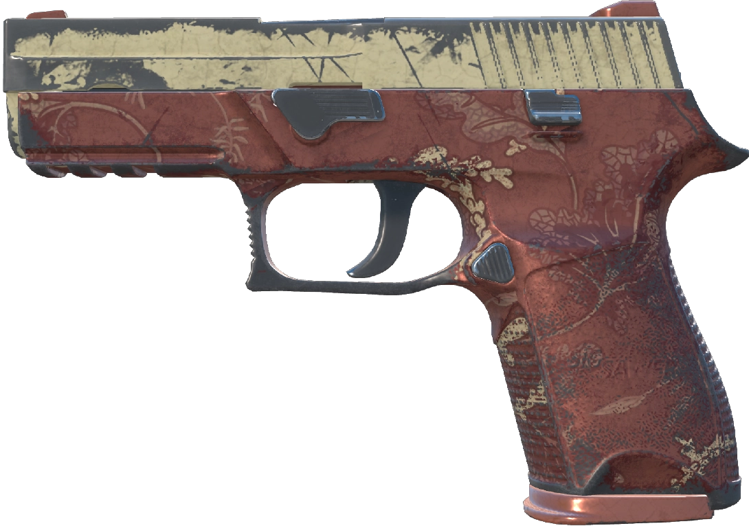 P250 | Kızıl Gelgit (Eskimiş) — CS.MONEY'de CS:GO/CS2 skin takası yapın