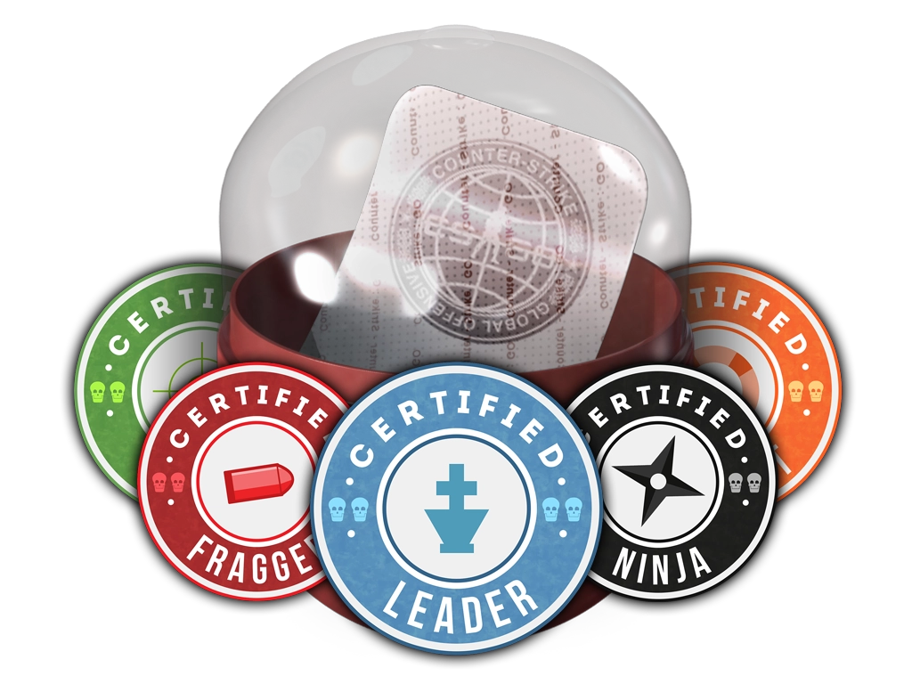 Capsule Team Roles Capsule — CS:GO/CS2 Wiki by CS.MONEY