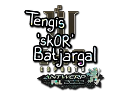 Sticker | sk0R (Glitter) | Antwerp 2022 — CS:GO/CS2 Wiki by CS.MONEY