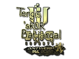 Наклейка | sk0R (золотая) | Антверпен 2022 — CS:GO/CS2 Wiki от CS.MONEY