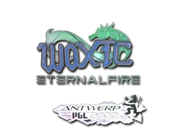 Наклейка | woxic (голографическая) | Антверпен 2022 — CS:GO/CS2 Wiki от ...
