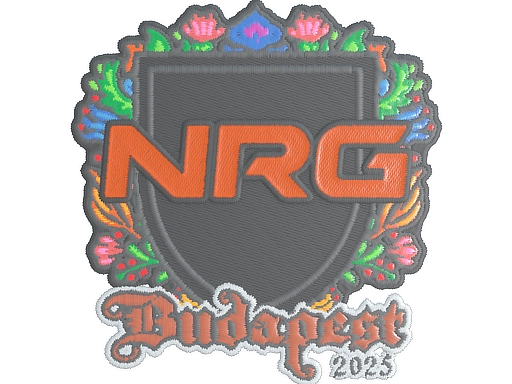 Sticker | NRG (Embroidered) | Budapest 2025 — CS:GO/CS2 Wiki by CS.MONEY