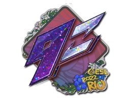 Sticker | 9z Team (Glitter) | Rio 2022 — CS:GO/CS2 Wiki by CS.MONEY