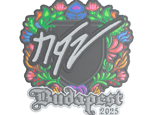 Sticker | NQZ (Embroidered) | Budapest 2025 — CS:GO/CS2 Wiki by CS.MONEY