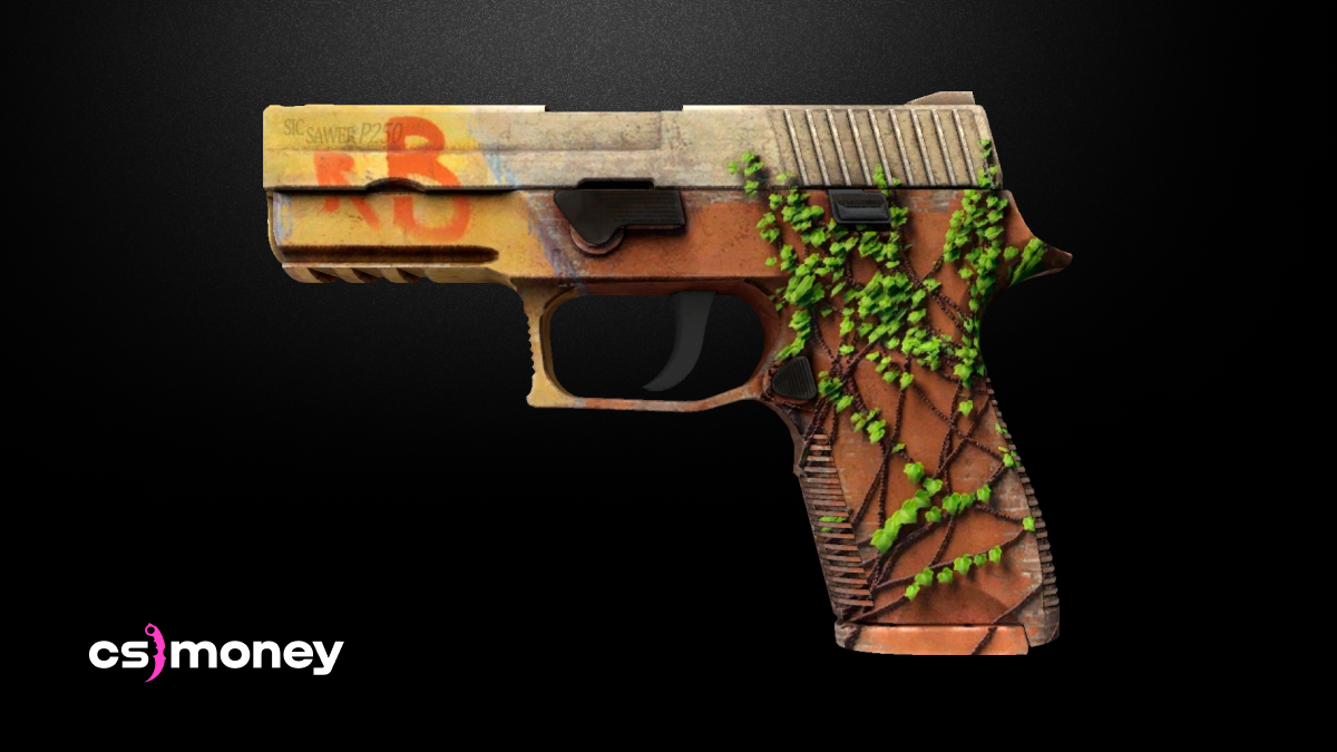 The Best CS:GO/CS2 Skins Under 3 Dollars in 2025