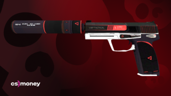The Best USP-S Skins In CS:GO/CS2 In 2025