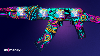 Ranked: Top-10 Best CHeap Stickers in CS2 + Craft Ideas