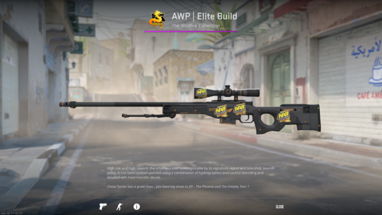 All NAVI stickers in CS2 and best craft combos for them: list