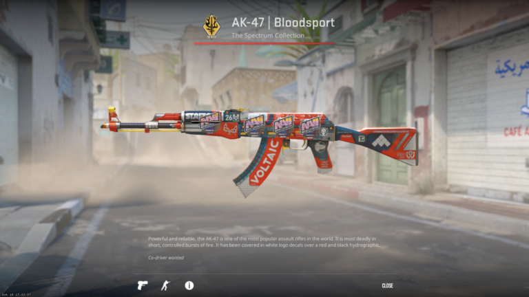 All NAVI stickers in CS2 and best craft combos for them: list