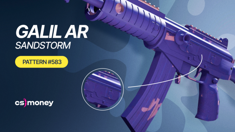 Rare and Cool CS2 Skin Patterns: Hamster, Cat, Pussy and others