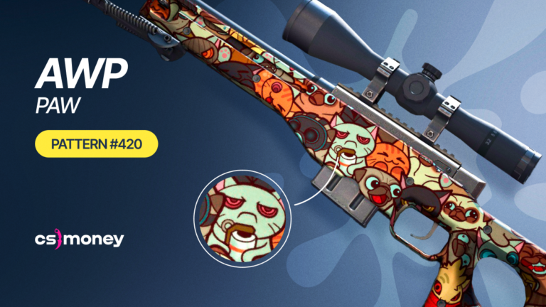 Rare and Cool CS2 Skin Patterns: Hamster, Cat, Pussy and others