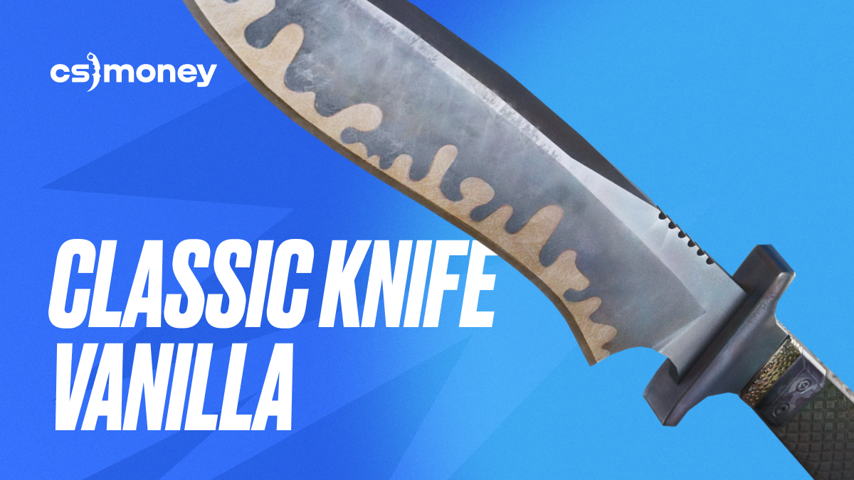 Everything You Need to Know About CS20 Case in CS2