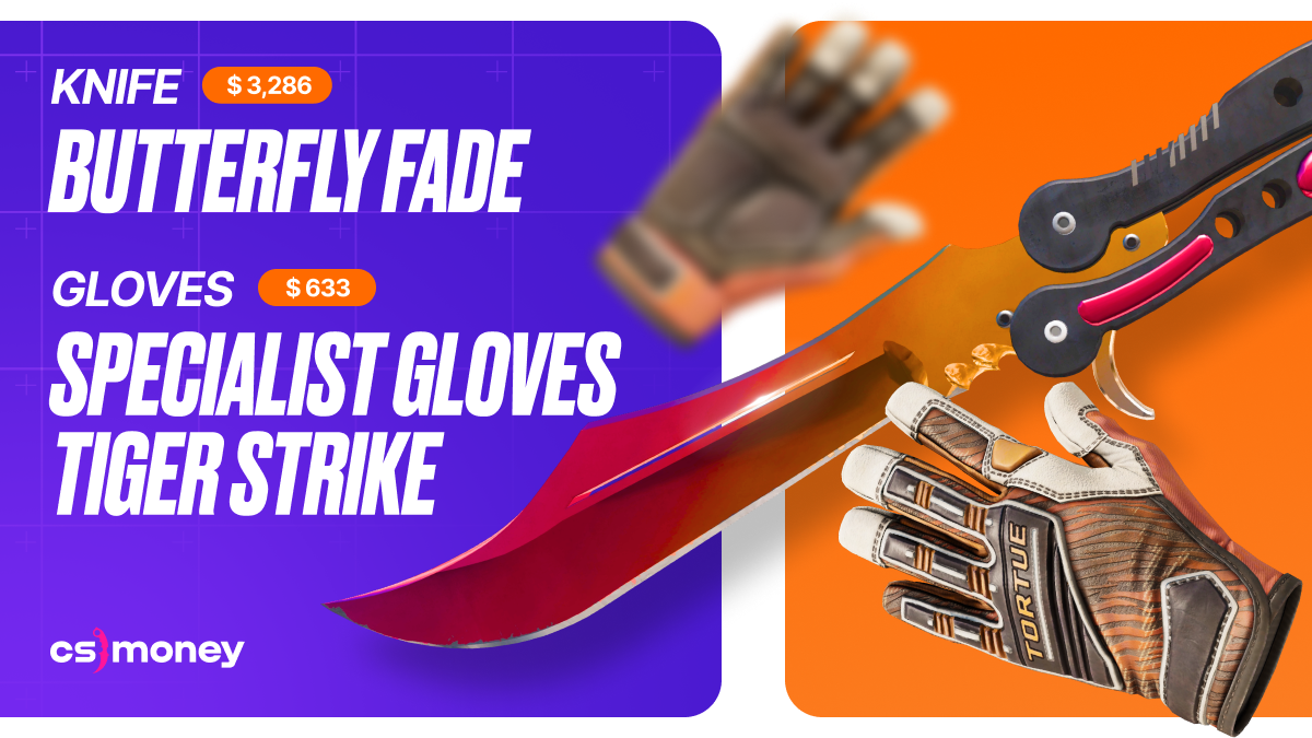 5 Best Knife and Glove Combo in CS2 - Wsignsltd