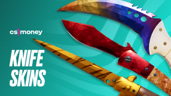 Everything you need to know about Prisma 2 case