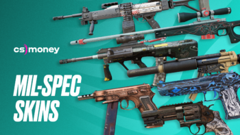 Everything you need to know about Prisma 2 case