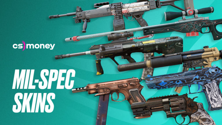 Everything you need to know about Prisma 2 case