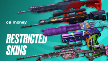 Everything you need to know about Prisma 2 case