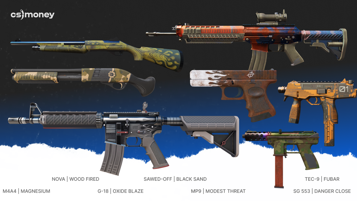 Case of danger zone in CS2: All Registered Skin - Wsignsltd