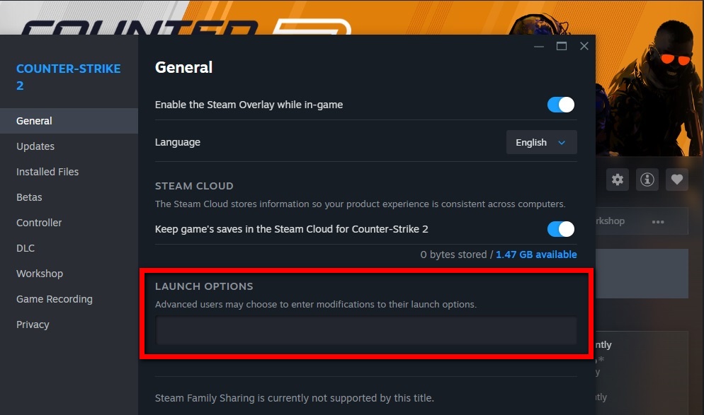 Best Launch Options in CS2 in 2025: Useful Settings Tips