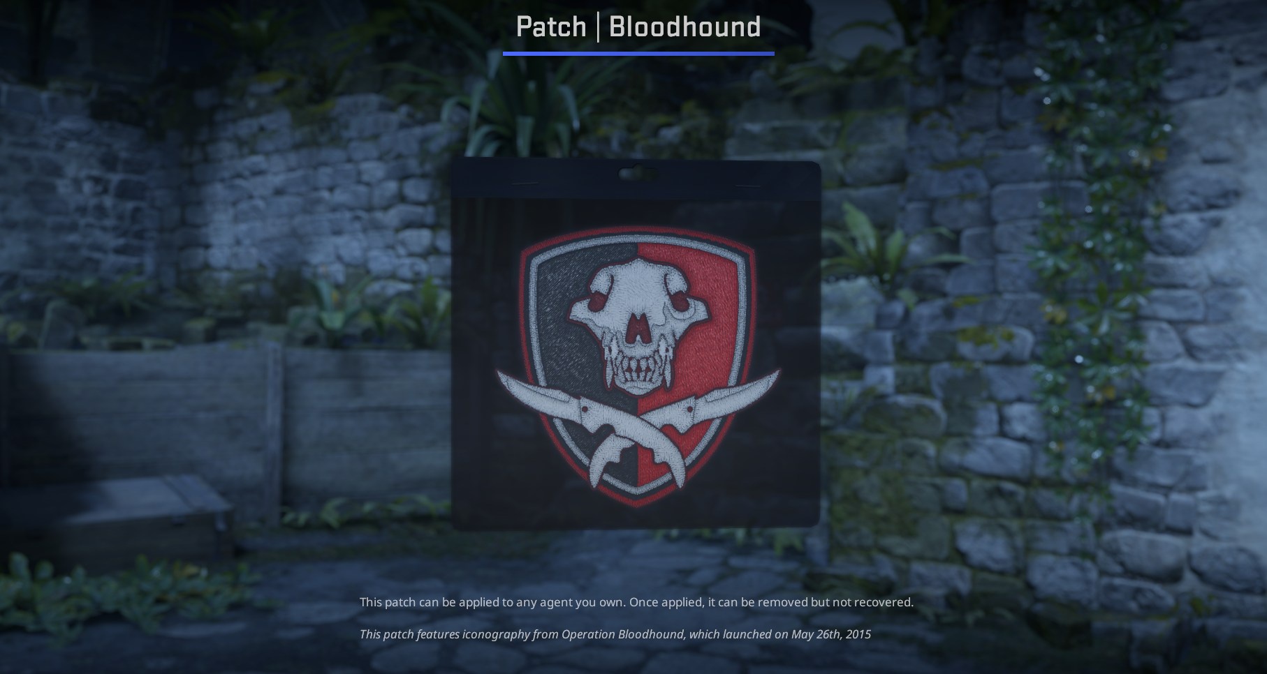 Patches in CS2: what are they, complete guide