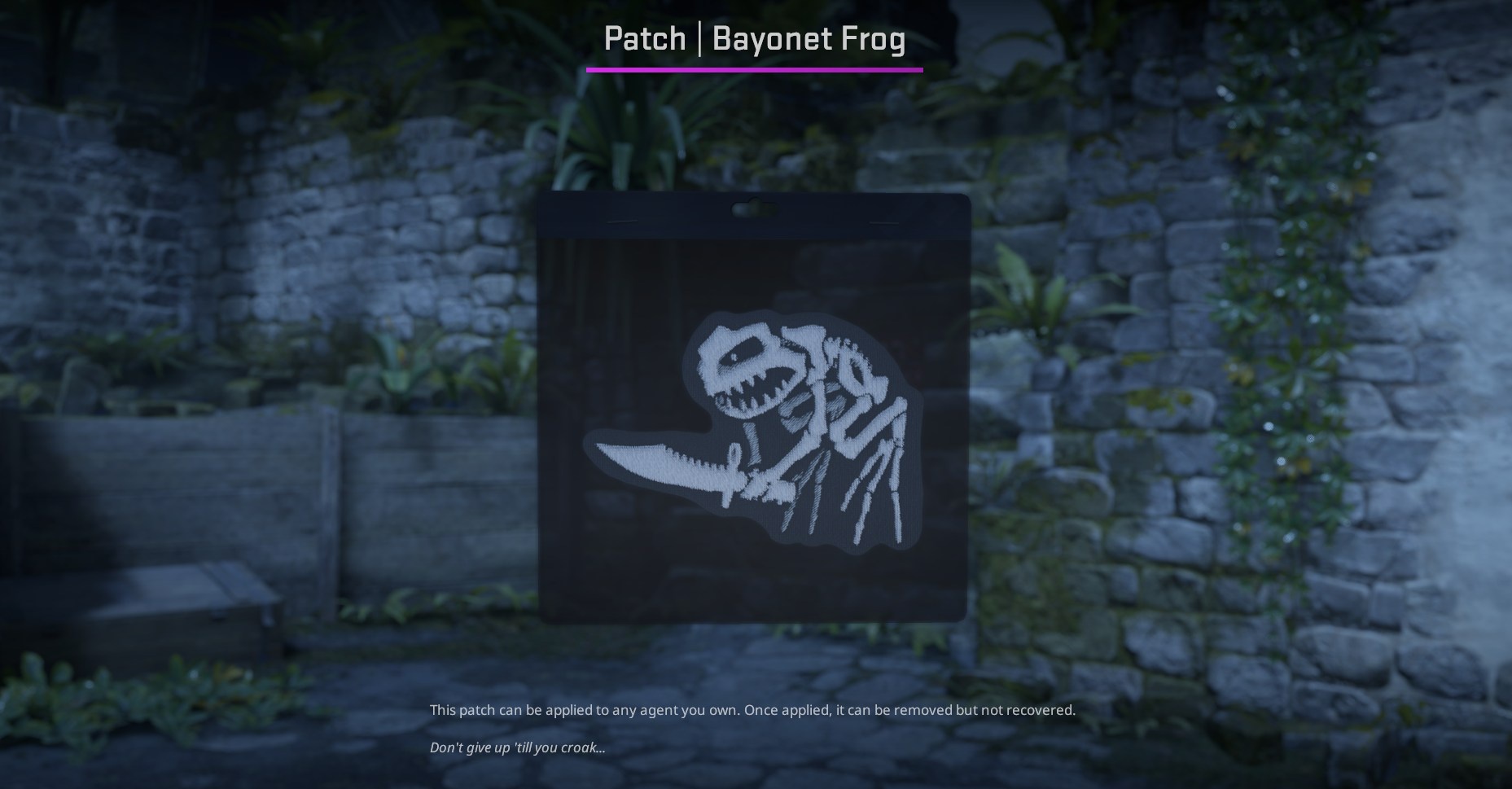 Patches in CS2: what are they, complete guide