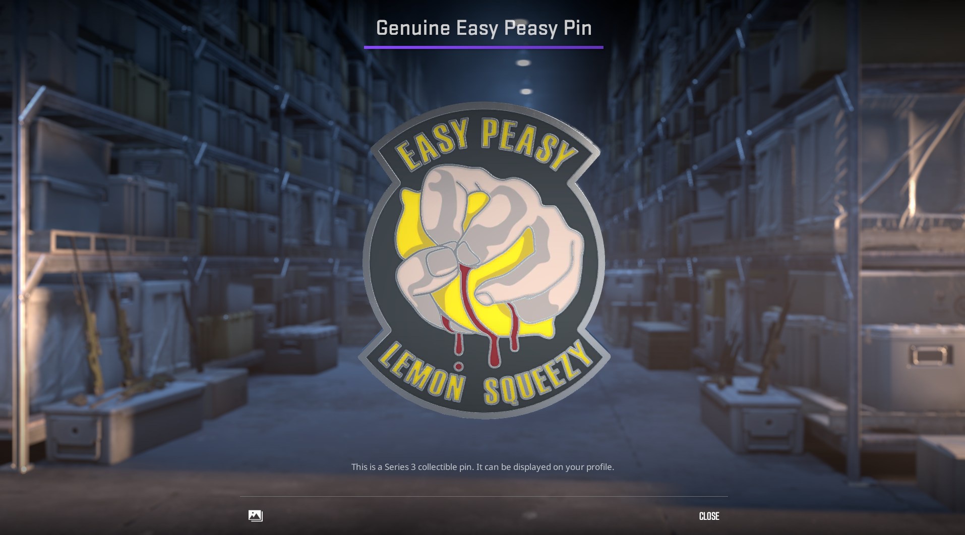 CS2 Pins Explained: Categories, Capsules, and Prices