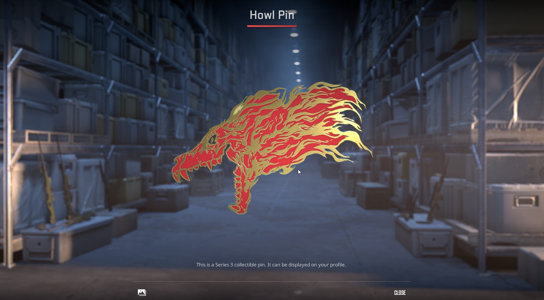 CS2 Pins Explained: Categories, Capsules, and Prices